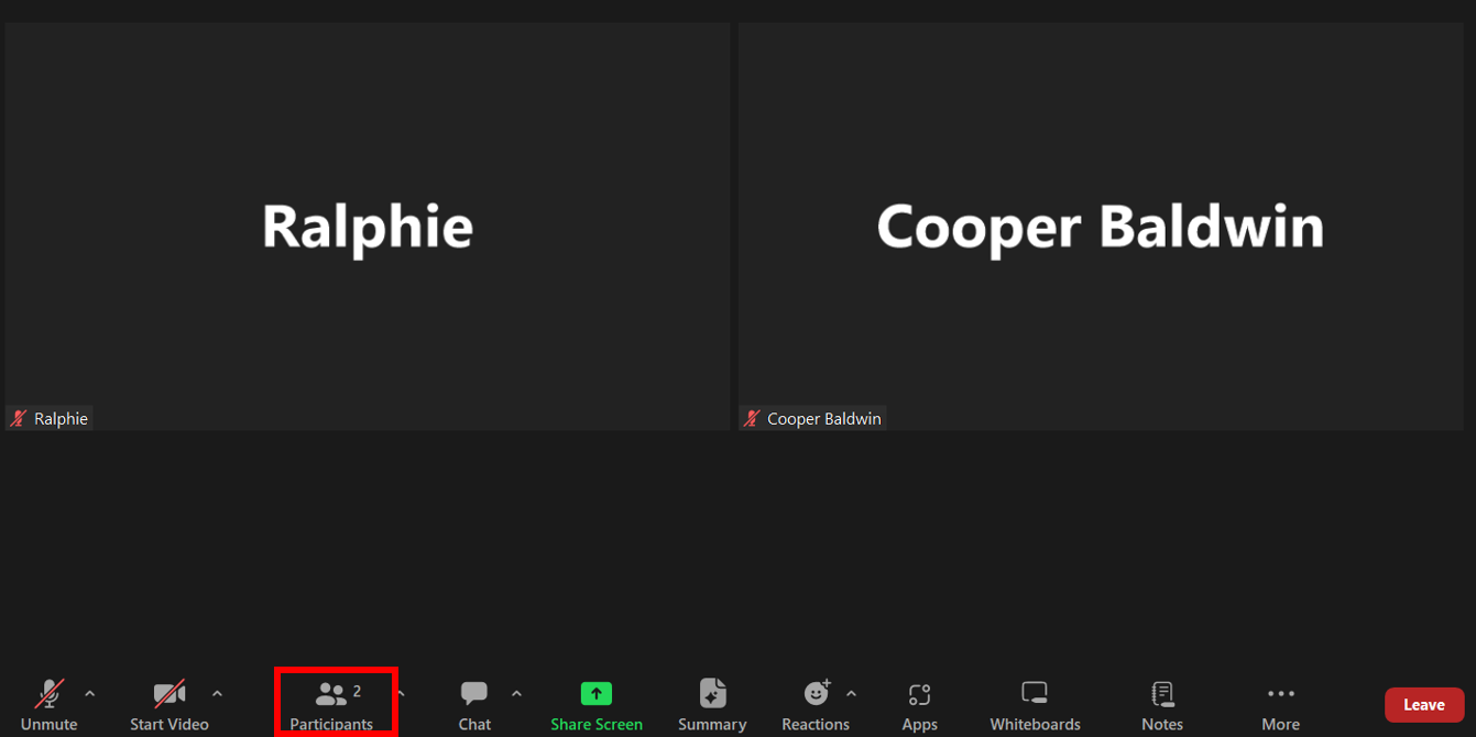How to transfer the host role during a Zoom meeting | University of Colorado